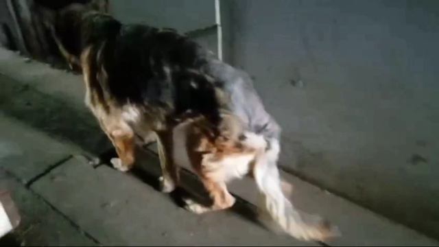 Моя семья. КЛИП