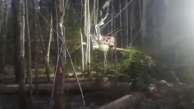 харвестер Volvo в деле.mp4