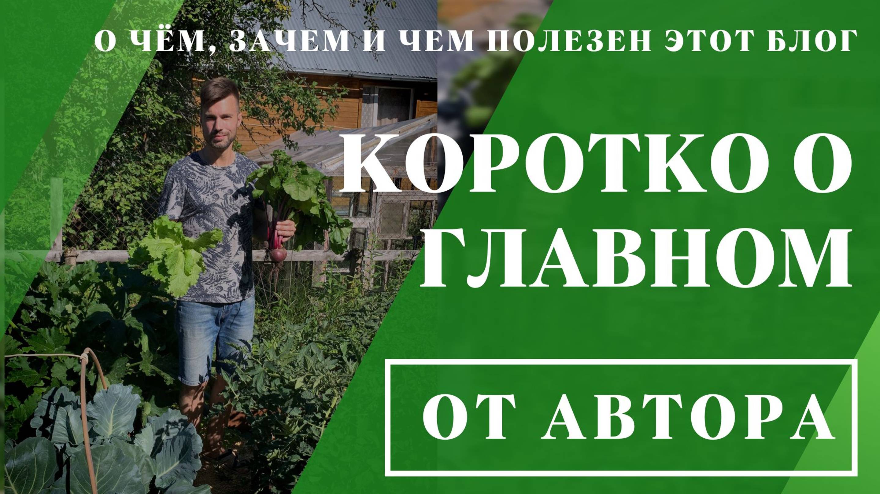 Коротко о главном: о чём, зачем и чем полезен этот блог