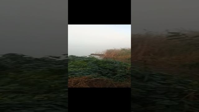 ТУМАННОЕ УТРО #ПРИРОДА #ТУМАН #РЫБАЛКА