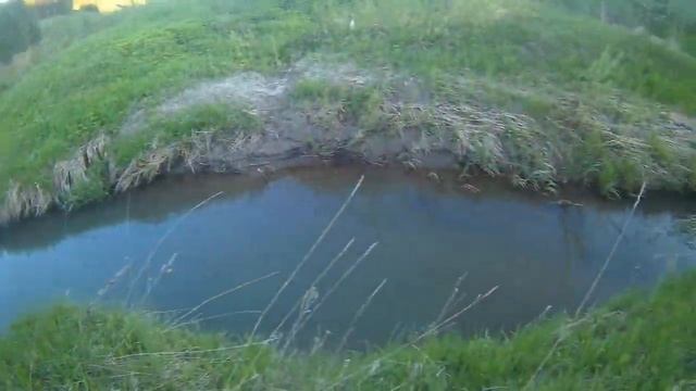 Как поймать ельца в ручье