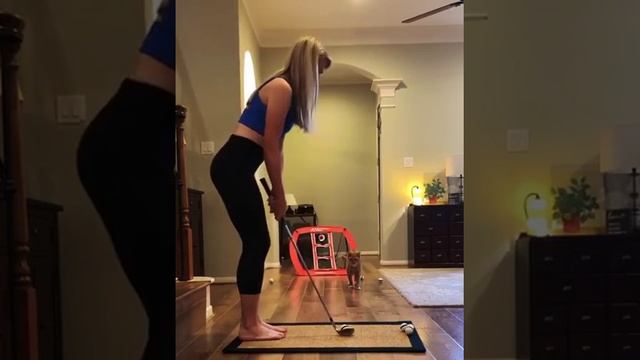 Кот - вратарь