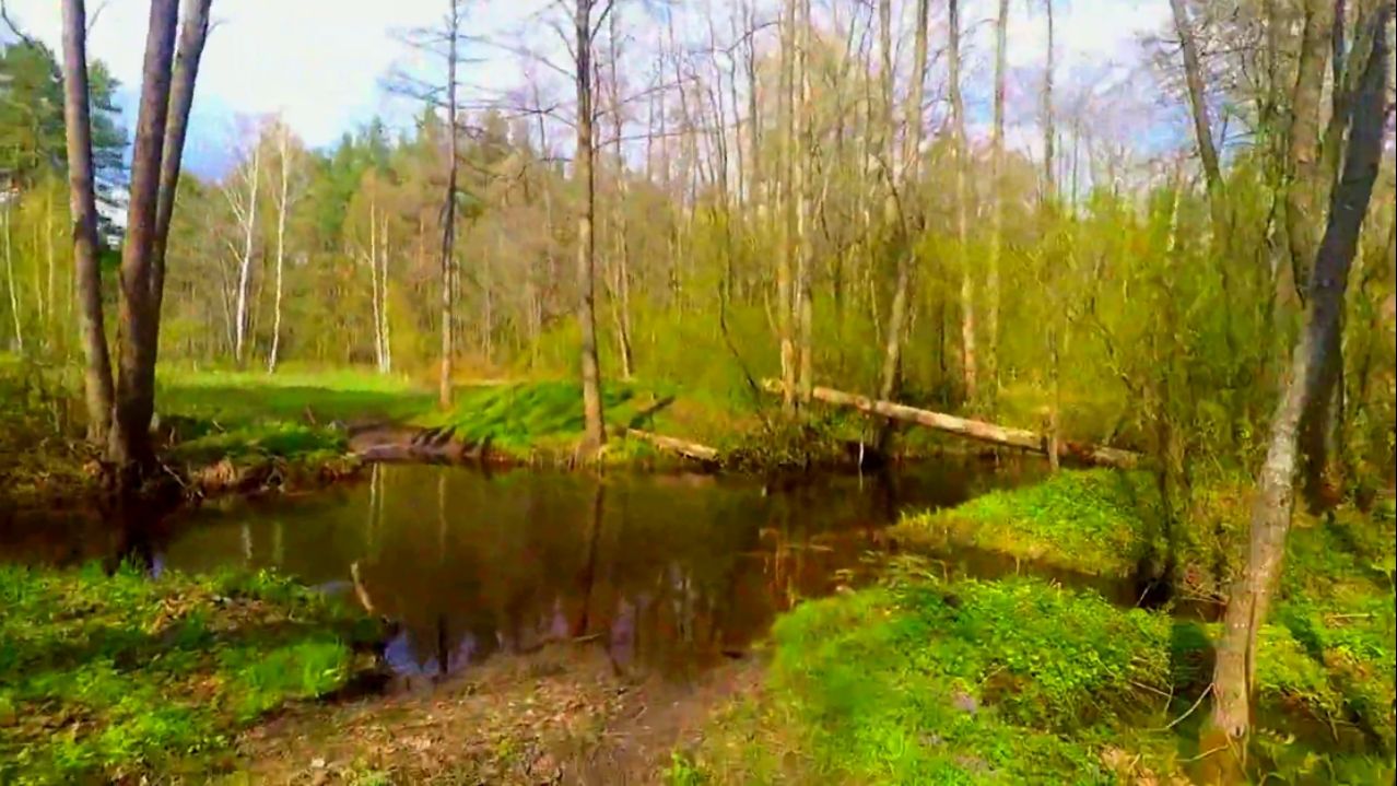 КЕЛЕЦКАЯ КАНАВА 2022.05.02