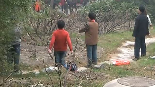 цигун - простейшие движения. Парки Пекина