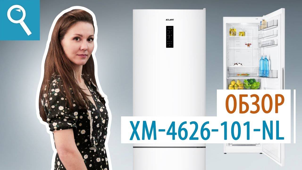 Обзор двухкамерного холодильника ХМ-4626-101-NL