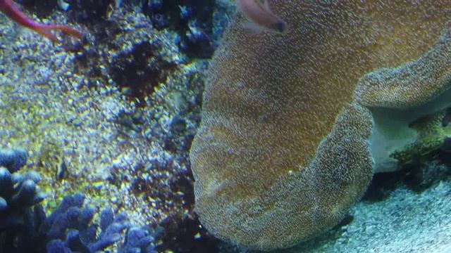 Достойные люди обучили достойному делу| разговоры с коллекторами