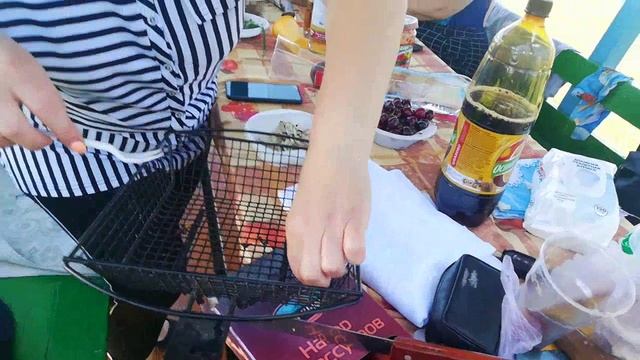 Ч 2 Шашлык из Свинины, Сосиски, Бассет-хаунд Ерофей на БО Кроптово Пензенской области 25 июня 2022 г