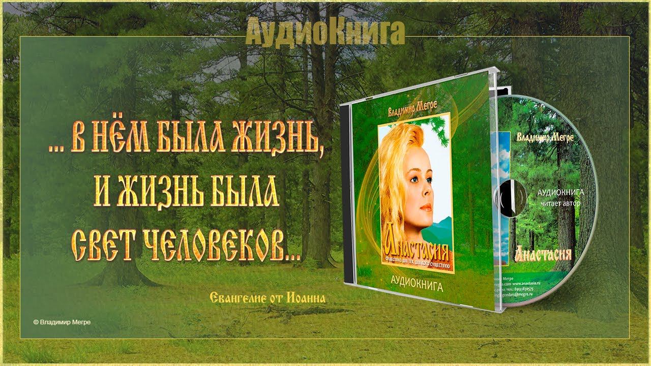 Книга I, глава 17 «... В НЁМ БЫЛА ЖИЗНЬ, И ЖИЗНЬ БЫЛА СВЕТ ЧЕЛОВЕКОВ...»