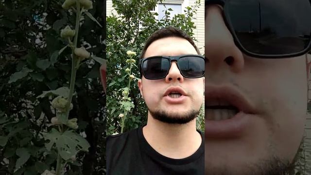 Отзыв о Франшизе SunPanda г. Крымск