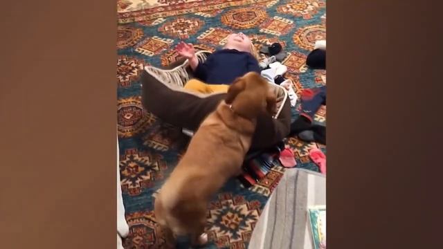 Смешные видео с детьми #104.mp4