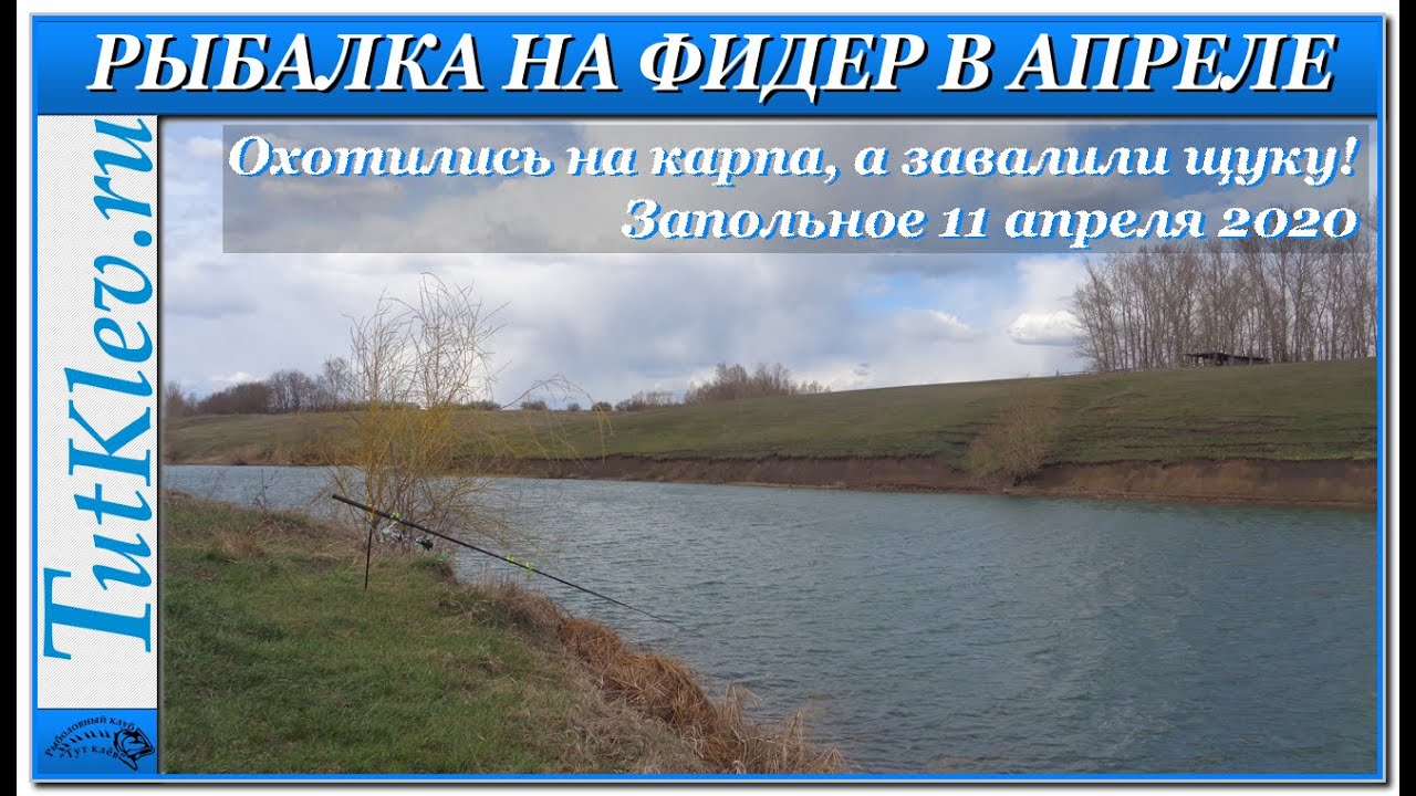 Вот так открыли сезон фидерной рыбалки в апреле. Охотились на карпа, а завалили щуку.mp4