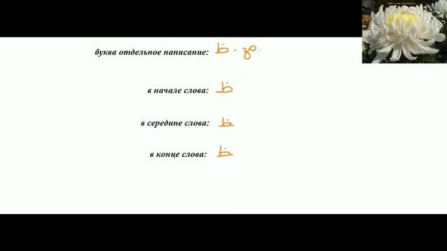 17 буква   Зо   арабского алфавита.