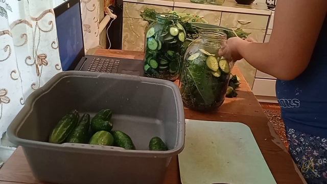 🥒Бочковые огурцы на зиму 🥒