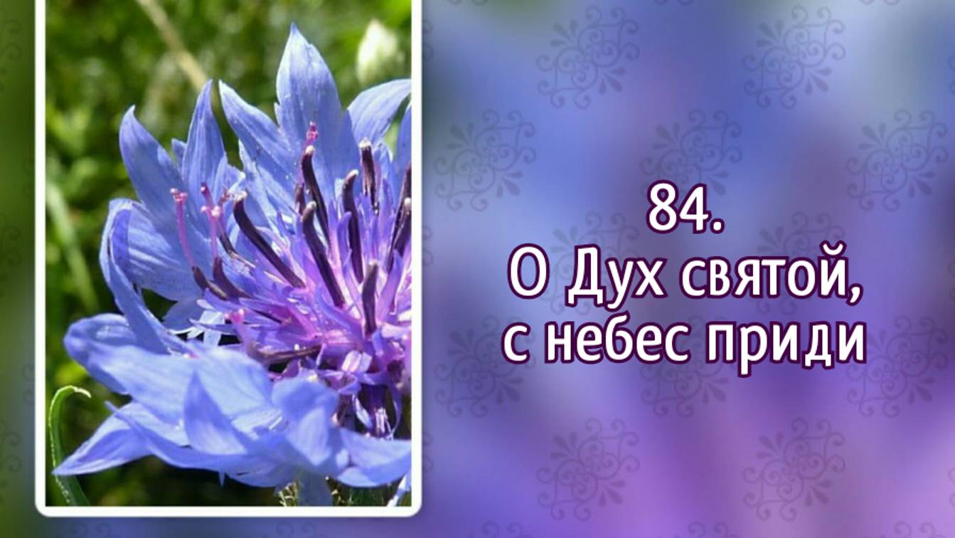 Гимны надежды 84 О Дух святой, с небес приди (-)