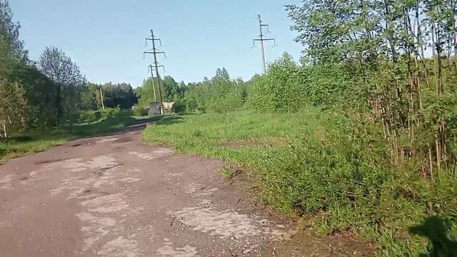 вот что осталось от птицефабрики