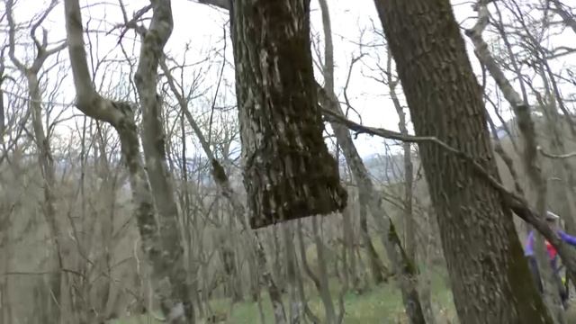 В Топловский монастырь.mp4