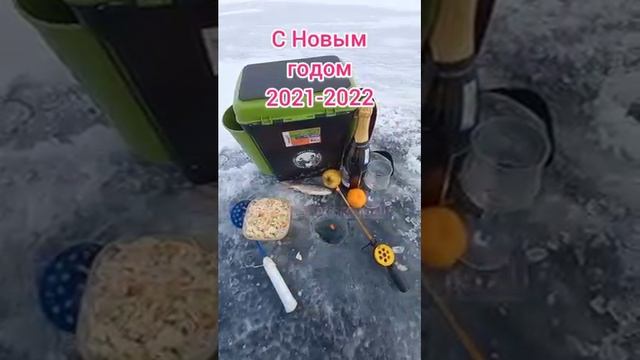 встреча нового года 2022 на рыбалке