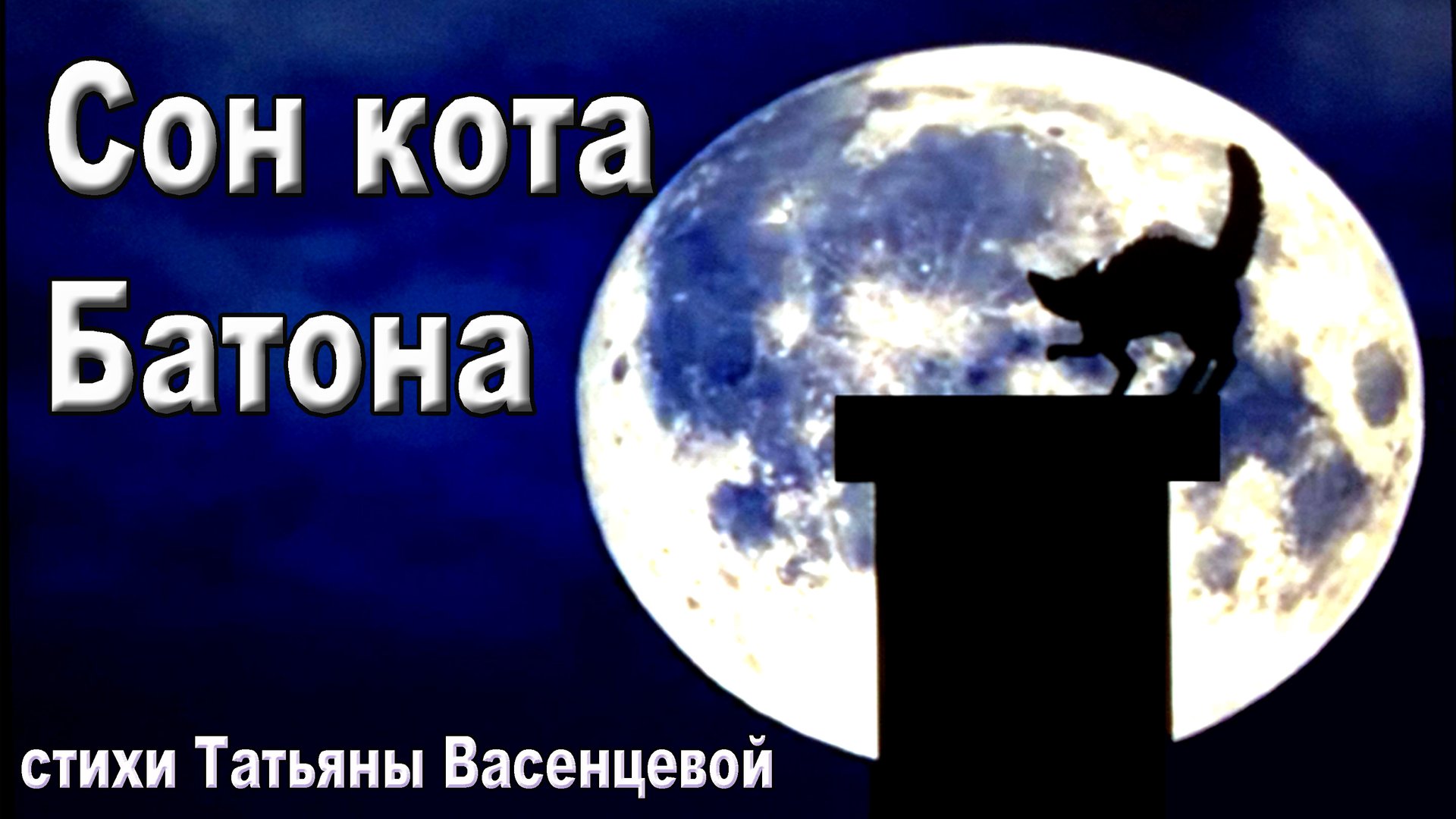 Сон кота Батона. Кошачьи сновидения.