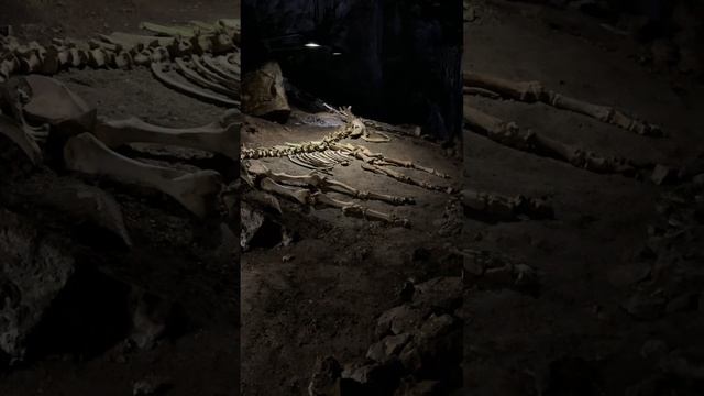 Пещера Емине-Баис-Хасар. Посещаем с детьми. Лучшие пещеры Крыма