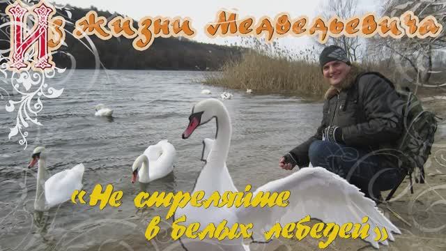 Не стреляйте в белых лебедей / Из жизни Медведьевича