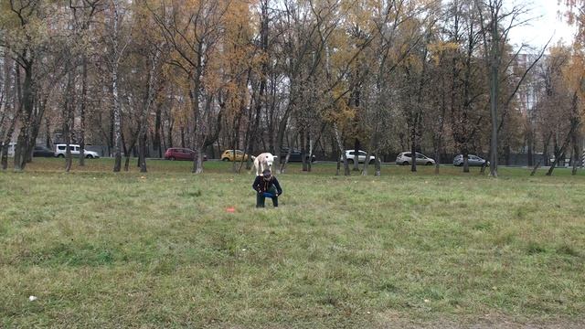 Ф.Фристайл  Татьяна и Соня.mp4