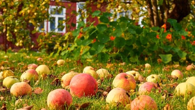 Кем то лето второпях