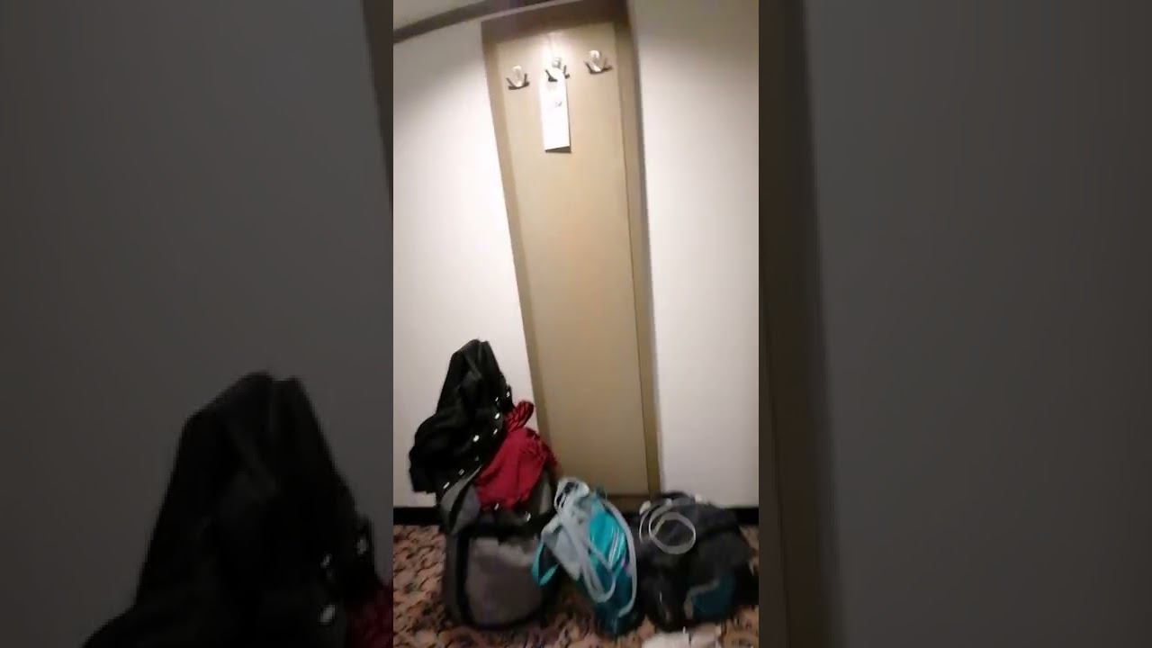 Случайно оказалась в отеле Анталии FALEZ HOTEL (была задержка вылета самолёта).