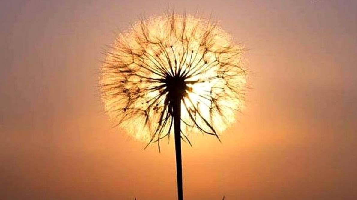 Стихотворение: "МЫ ТЬМУ ОДОЛЕЕМ!.." Читает автор — Елена Артёменко. Запись: март, 2022 года.