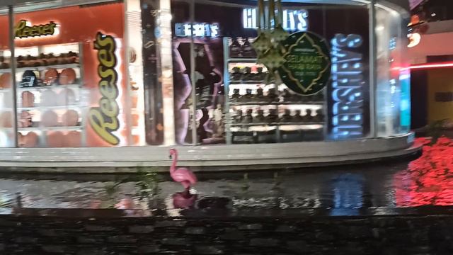 Очень мимимишный ТЦ-Бичволк!Каналы,фламинго,цветы-много мест для красивых фото!