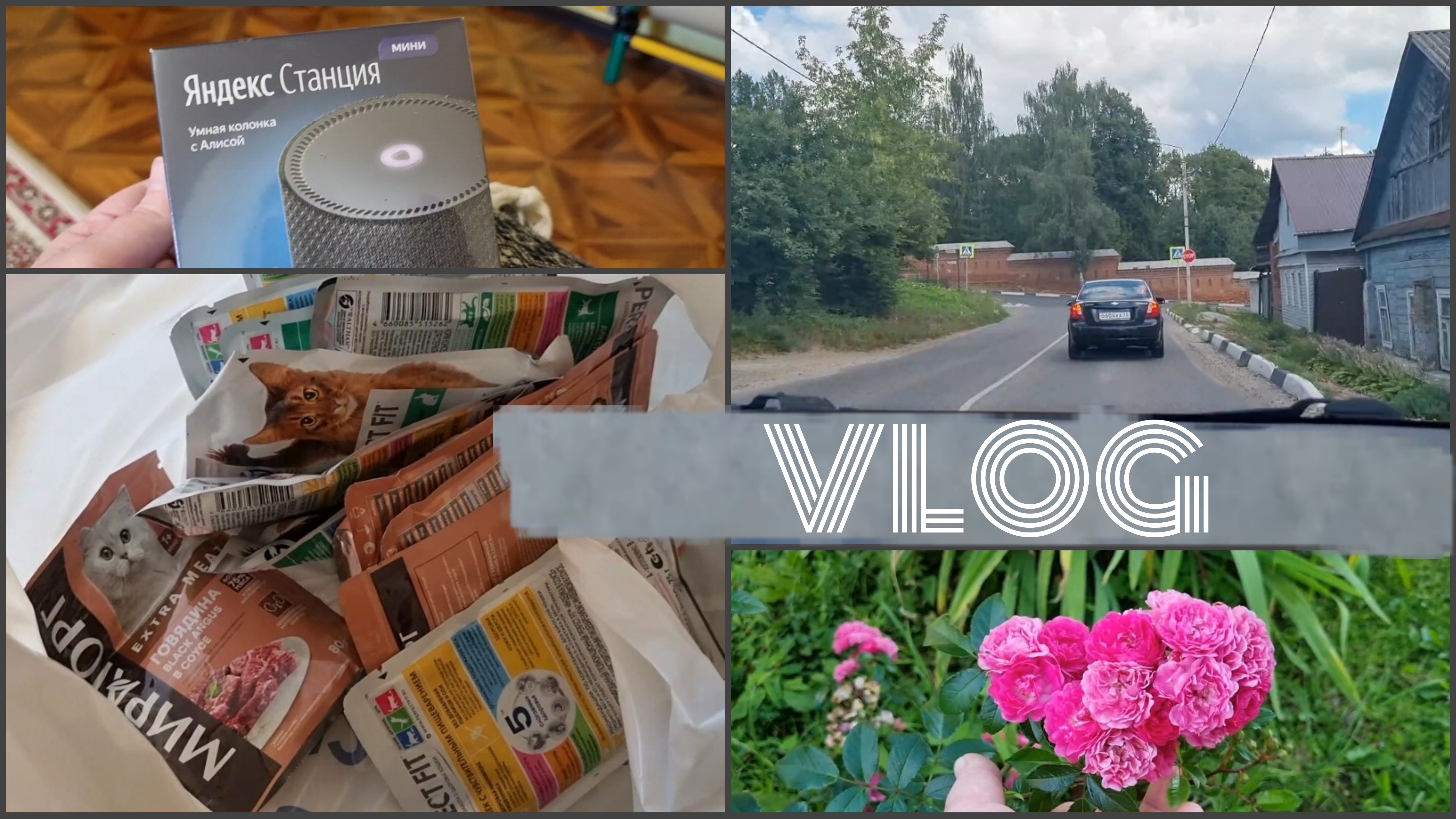VLOG: ПОКУПКИ. ГОТОВЫ УЕХАТЬ. ЯНДЕКС СТАНЦИЯ.