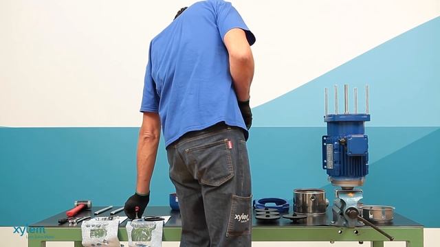 Lowara e-HM / Ремонт 3