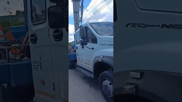 Выполнение услуг по спилу деревьев. Принимаем заказы по спилу деревьев!