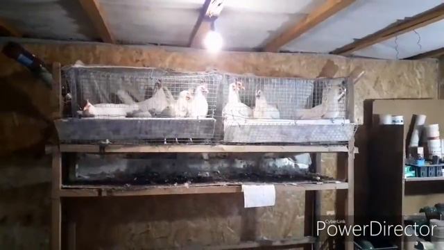 2020.Обзор хозяйства,январь.