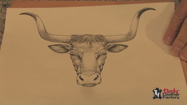 Learn How to Carve A Longhorn Head on Leather  Part 1