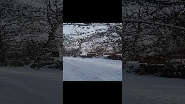 Ну почему ТАК красиво??❄️❤️