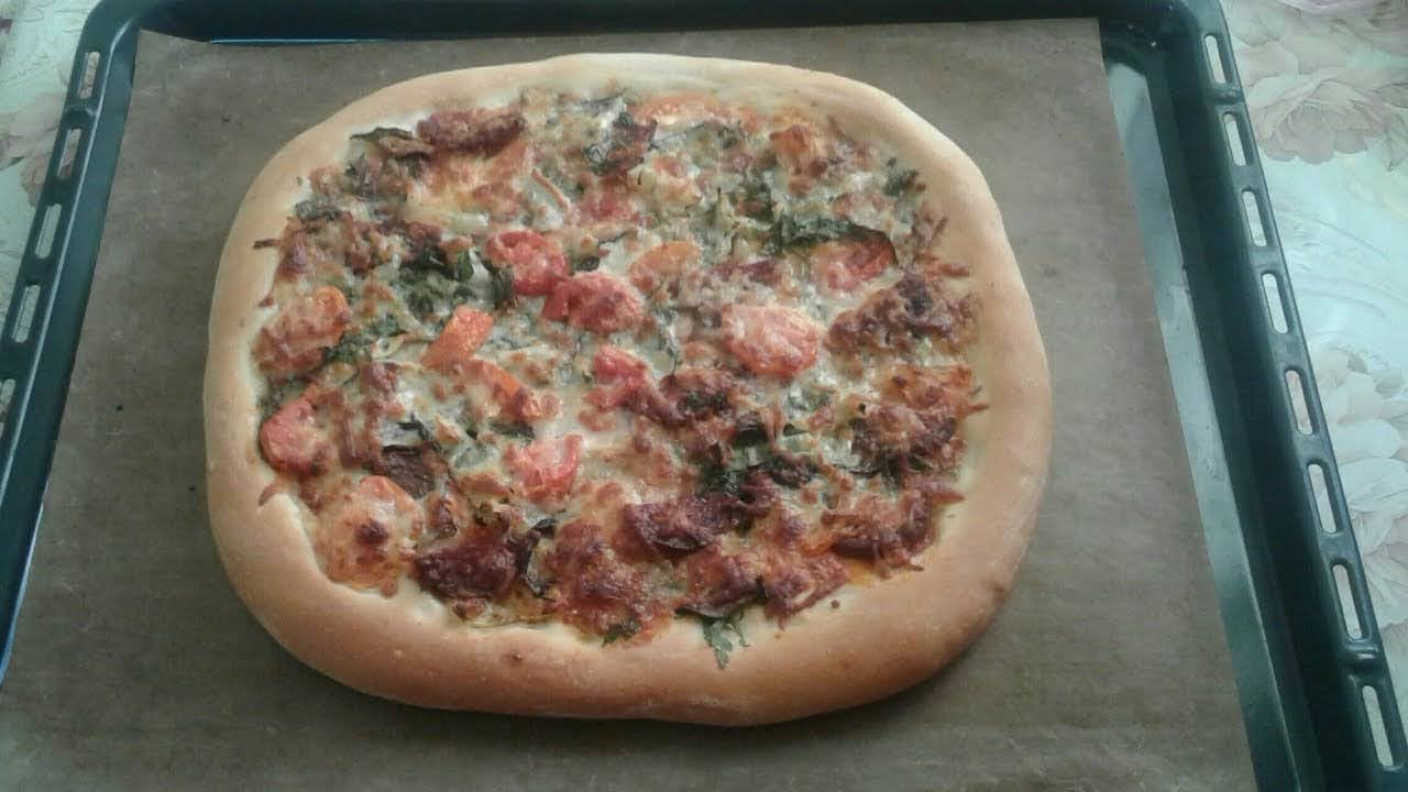 Пицца из теста длительного брожения рецепт выпечки