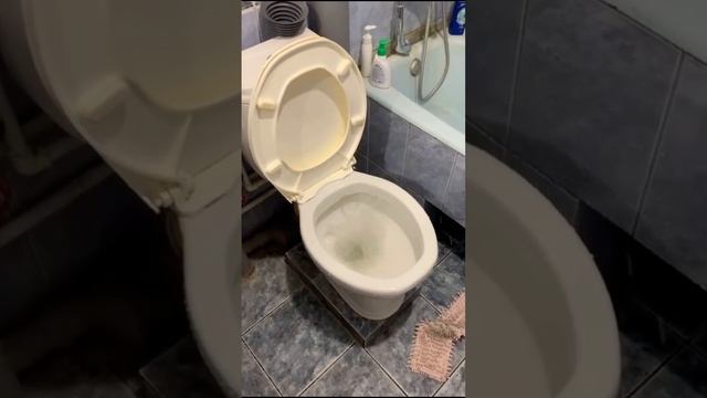 водяной шторм #непознавательноетв