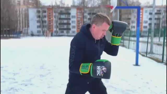 Боксерские перчатки TITLE