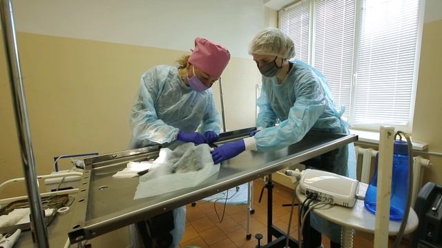 2020 Белгородский ГАУ - университет будущего!.mp4