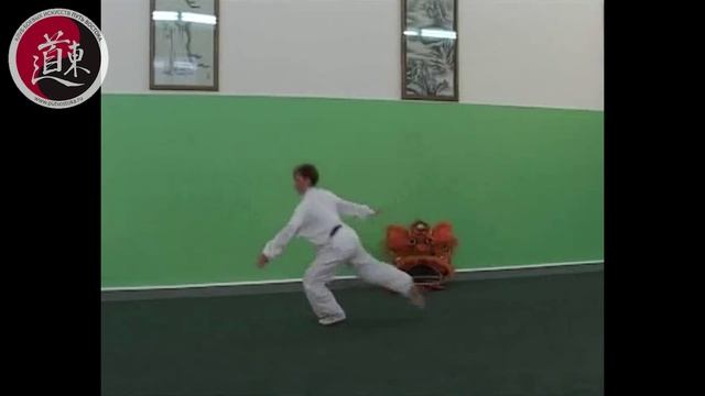 Чанцюань 46 форм