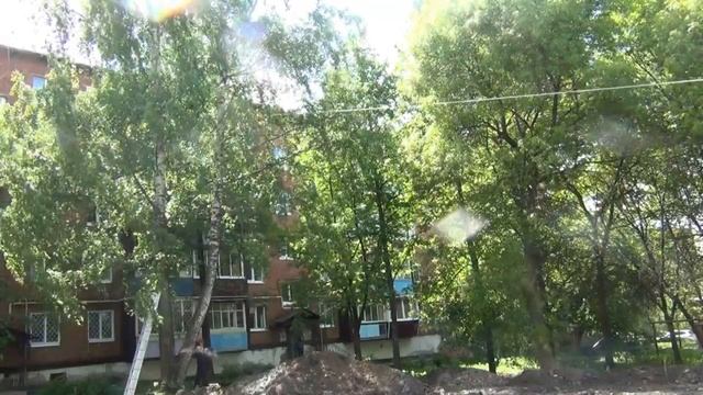 Все видео_Валка с оттяжкой.mp4