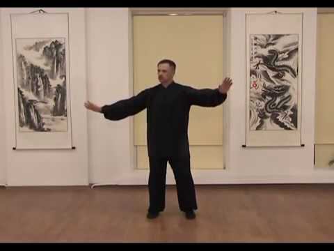 Тайцзи-цюань Ян 24ф. - подробности №5 формы с доктором Бутримовым. Ассоциация Даоинь России