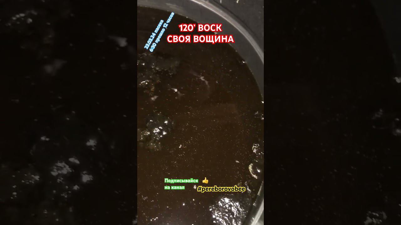 120’ воск, своя вощина! | ПЧЕЛОВОДСТВО #pereborovobee #пчеловодство #пасека #воск #матковод #улей
