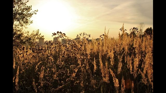 Губитель: рассказ