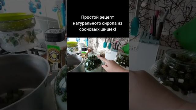 Сироп из сосновых шишек