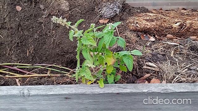 Окончательные работы по закрытию дачного сезона 2021