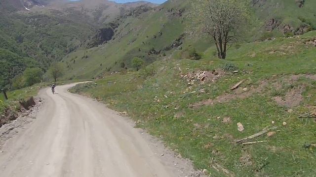 Саварафцаг