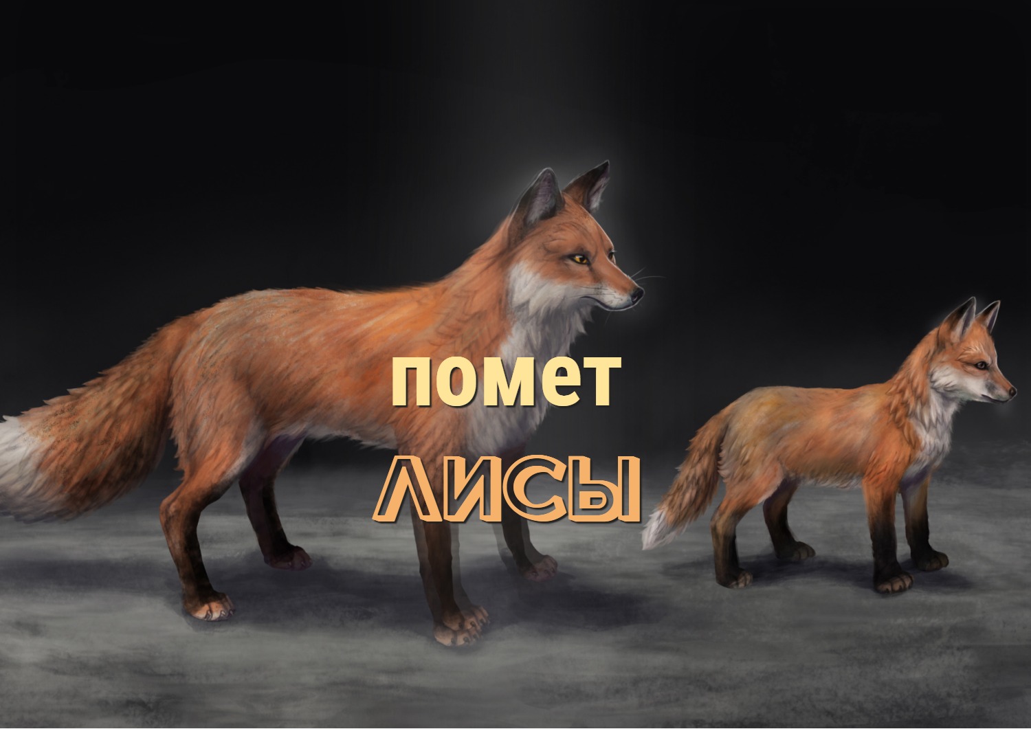 (помет Лисы)