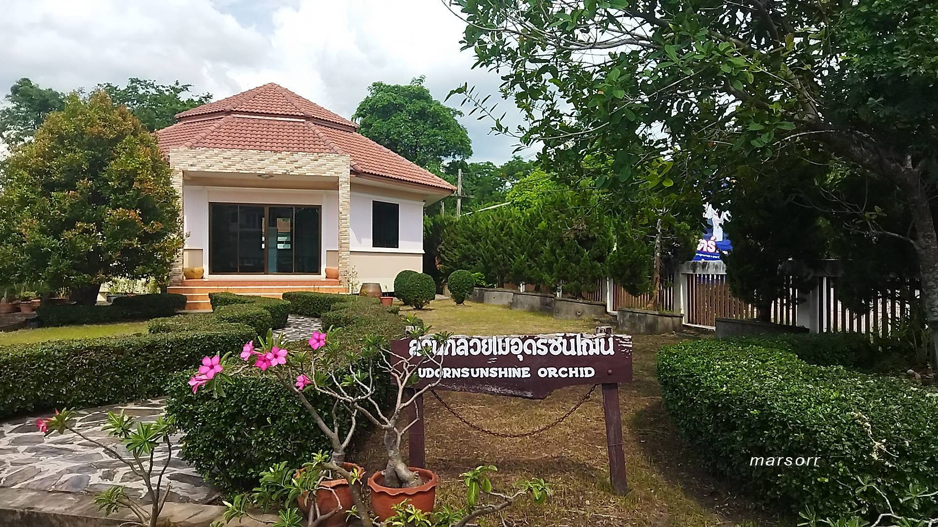 удонтхани. просто орхидеи udon sunshine orchid อุดรธานี udon thani สวนกล้วยไม้อุดรซันไฌน์