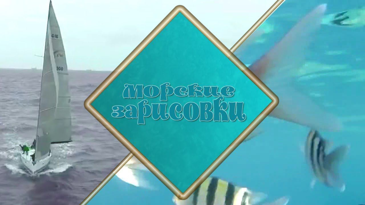 Заставка для видео. Морские зарисовки. ProShowProducer